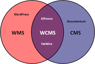 To Be a CMS, WCMS, or WMS, That is the Question | Word of Pie